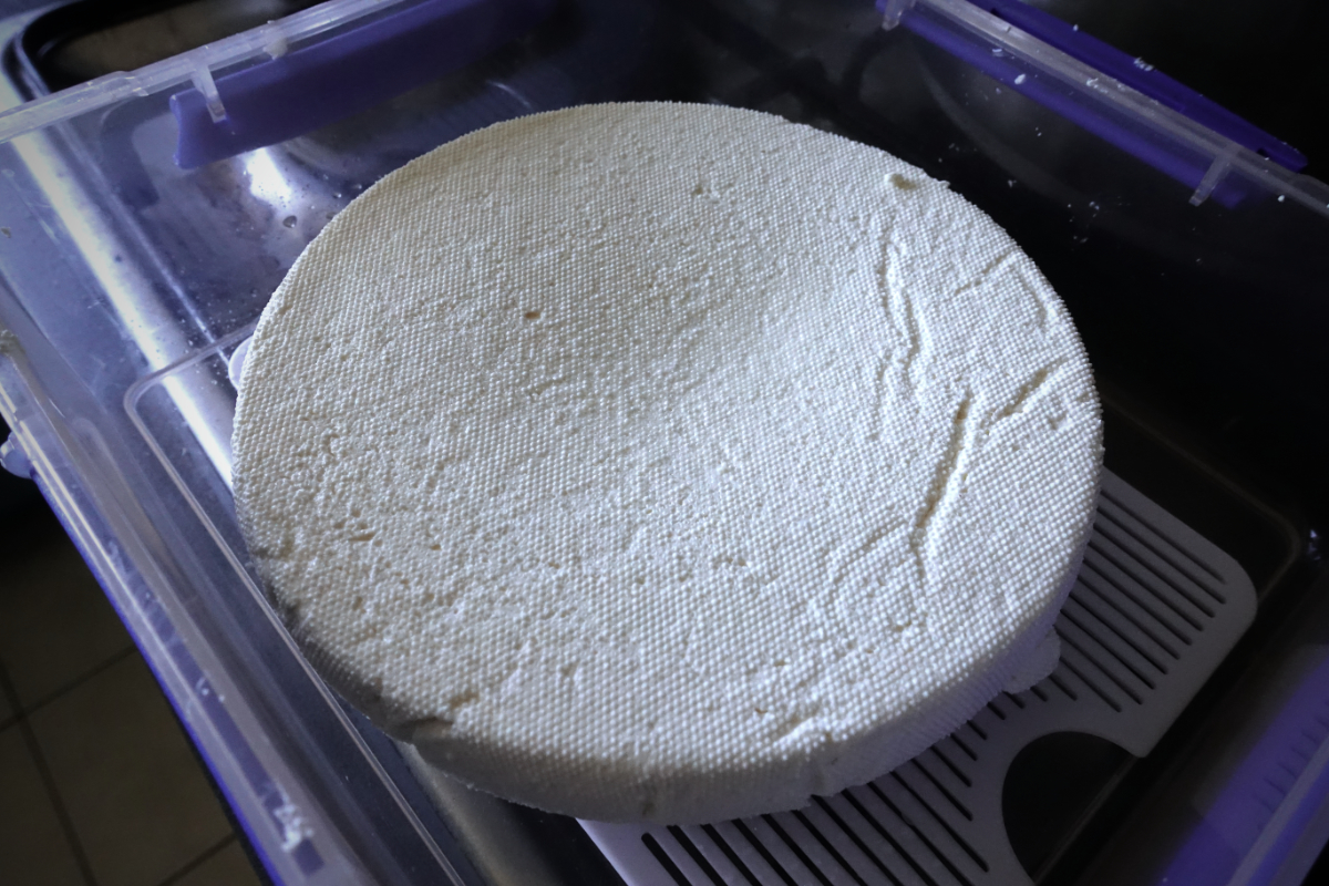 Cheese Making: An Introduction
